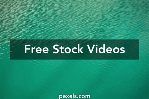 Wifetiedtobedandshared Videos Download The Best Free 4k Stock