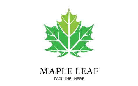 Leaf Mapple Vector Logo Icon V4 355048 Templatemonster