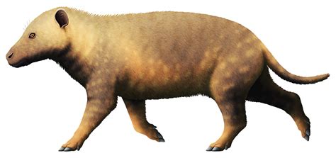 Litopterna Nix Illustration