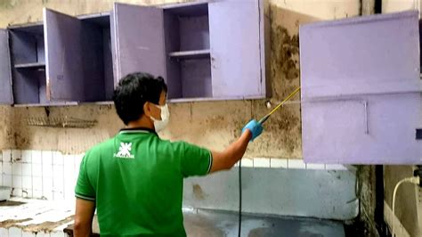 Termaxpro Termite Control Home