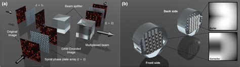 Automultiscopic Displays Based On Orbital Angular Momentum Of Light