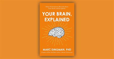 Your Brain Explained What Neuroscience Reveals About Your Brain And Its Quirks Price