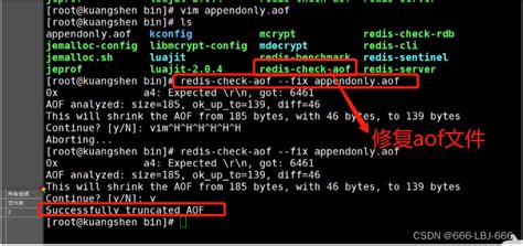 Redis Nf配置文件中的rdb与aof持久化方式的详解与区别redis Rdb配置文件 Csdn博客