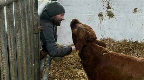 Dexter Galloway Wiesthal Wurmsham