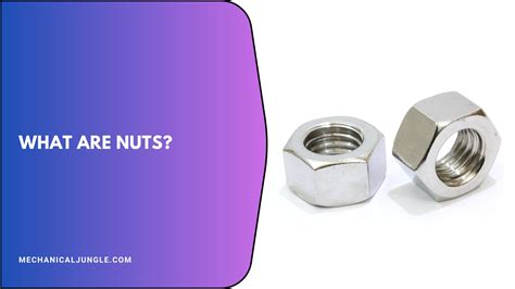 What Are Nuts What Are Bolts Difference Between Nuts And Bolts