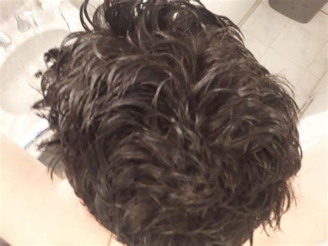 Help Can See Scalp Through Wet Hair Am I Thinning Last 3 Pics Are My Hair When Dry Really
