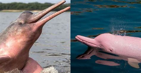 Hacemos Periodismo Infobae