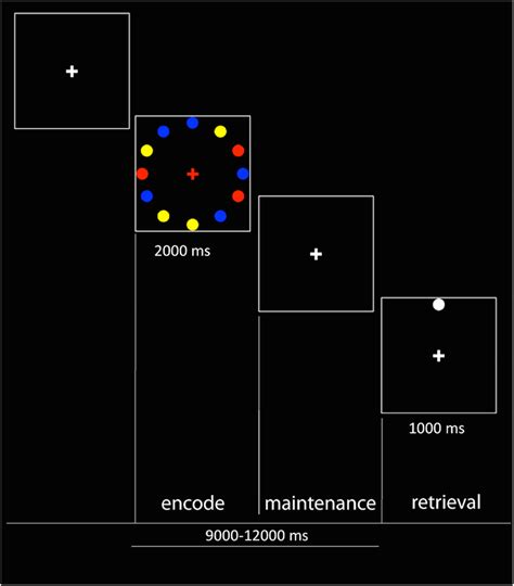 Working Memory Delayed Spatial Working Memory Task Download