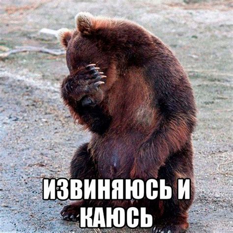 Открытки с извинениями и картинки со словами извини меня