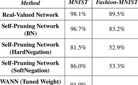Test Accuracy Of Networks Trained On The Mnist And Fashionmnist