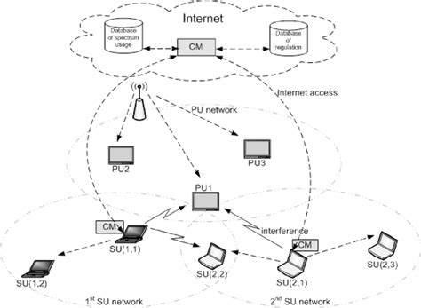 Scenario Of Distributed Heterogeneous Networks Sharing A Common