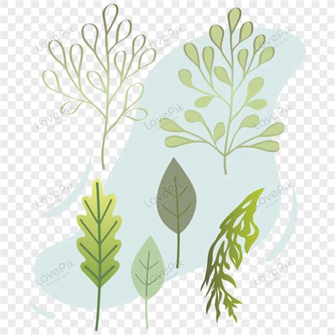 잎 벡터 일러스트 레이 션 Png 일러스트 무료 다운로드 Lovepik