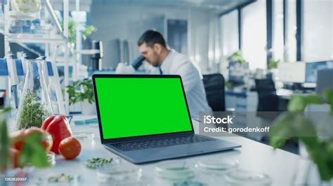 과학 환경의 테이블에 녹색 화면 모의 디스플레이와 노트북 컴퓨터 미생물학자는 기술 장비를 갖춘 밝은 현대 식품 연구소에서 배경에서 일하고 있습니다 노트북에 대한 스톡 사진