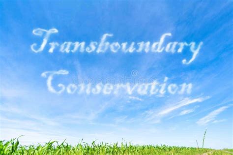 Transboundary Conservation Collaborative Efforts To Protect Ecosystems That Span International