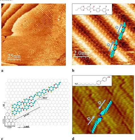 Figure 1 From Polar Self Organization Of Ferroelectric Nematic Liquid
