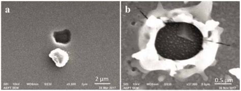 A Sem Image Of A Titanium Film Defect Located Outside The Treated Download Scientific Diagram