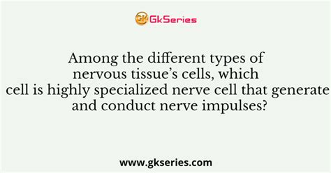 Among The Different Types Of Nervous Tissues Cells Which Cell Is