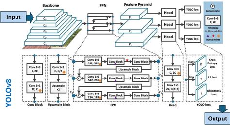 論文レビュー Comparing Yolov11 And Yolov8 For Instance Segmentation Of