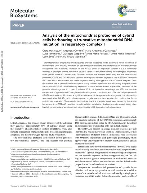 Pdf Analysis Of The Mitochondrial Proteome Of Cybrid Cells Harbouring
