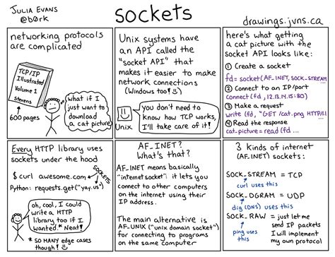 Sockets Julia S Drawings
