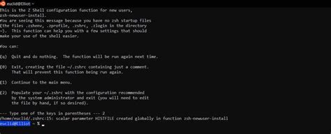 how to install and use zsh in windows 10