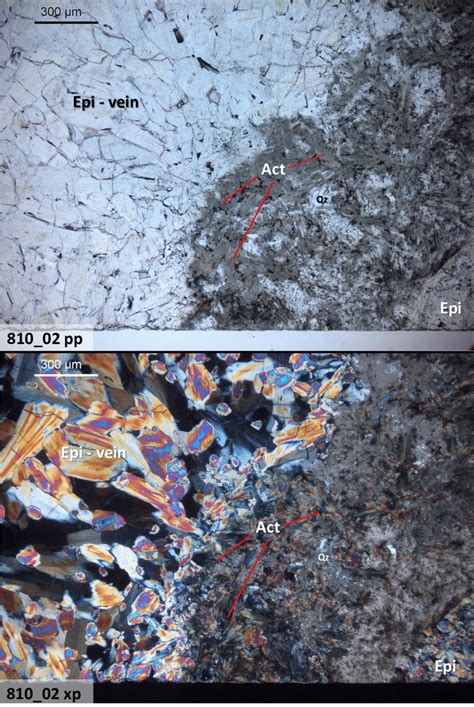 17 Selection Of Typical Actinolite Images From The Polarizing Download Scientific Diagram