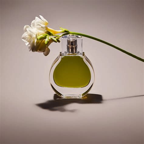 Kendall Jenner By Kkw Fragrance ~ New Fragrances
