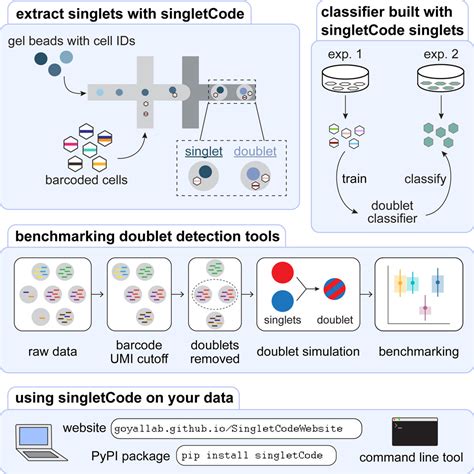 Synthetic Dna Barcodes Identify Singlets In Scrna Seq Datasets And Evaluate Doublet Algorithms