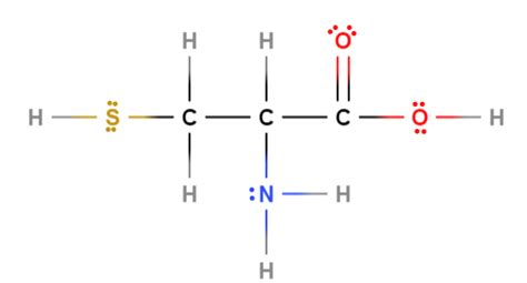 fill in the lone pairs needed to give the main group element quizlet