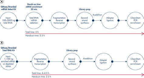 Qiaseq Stranded Rna Library Kits Rna Seq Library Qiagen