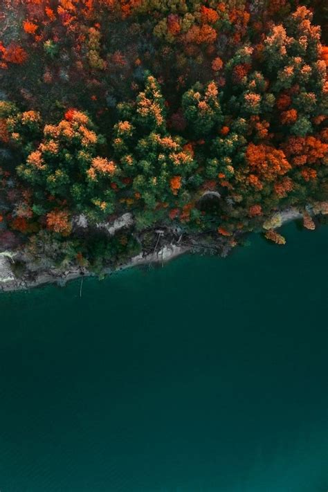 Aerial View Of Trees And Water In The Fall