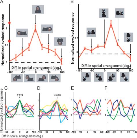 Figure 1 From Representation Of The Spatial Relationship Among Object Parts By Neurons In