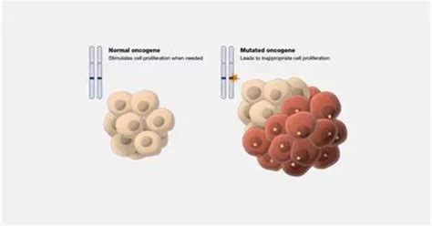 Oncogene A Gene Assignment Point