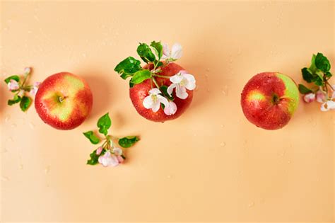 사과 꽃과 잘 익은 빨간 사과는 파스텔 오렌지 배경 과일과 꽃 스핑 개념에 평평하게 놓여 있습니다 위쪽 보기 개체 그룹에 대한 스톡 사진 및 기타 이미지 Istock