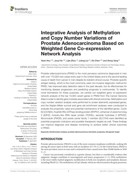 Pdf Integrative Analysis Of Methylation And Copy Number Variations Of Prostate Adenocarcinoma