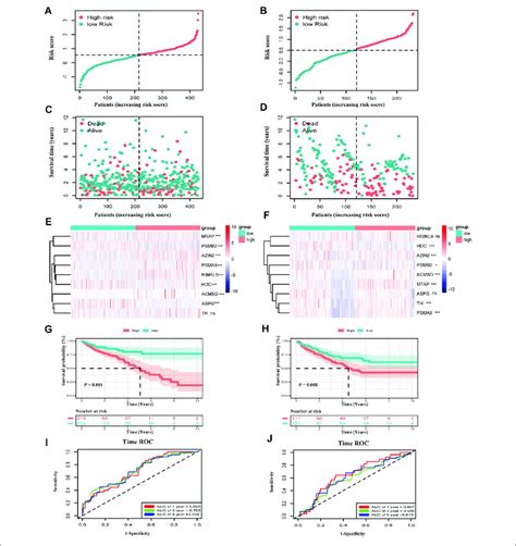 Validation Of The Risk Model In Tcga Coad And Gse17538 Ab The