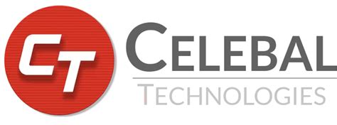 Explore Synergies With Celebal And Databricks Cio News