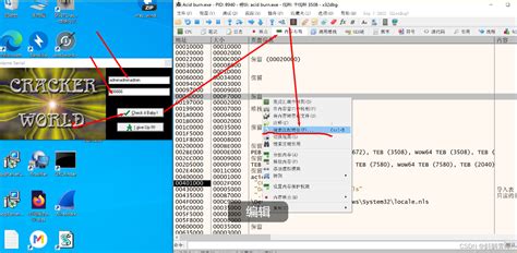 逆向基础 破解密码 如何通过逆向得知exe程序的密码 csdn博客