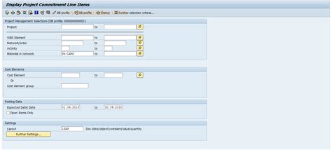 cji5 sap tcode project commitment line items