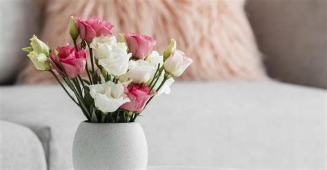 Что добавлять в воду чтобы цветы в весе дольше стояли добавить сахар в цветы чтобы цвели дольше