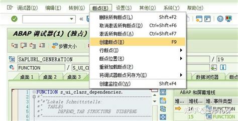 业务顾问需要学会的sap Abap调试 知乎
