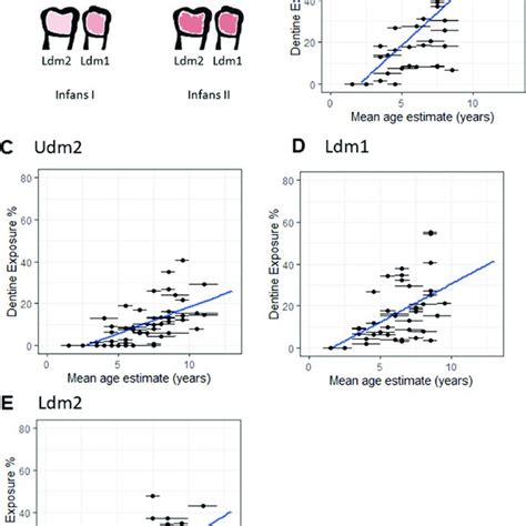 Dentine Exposure On Deciduous Molars Varies Depending On The Position