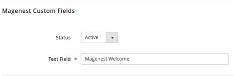 How To Add Custom Fields In Product Edit Pages In Magento 2