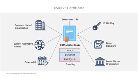 Mtls Securing Microservice Architecture With Mutual Tls