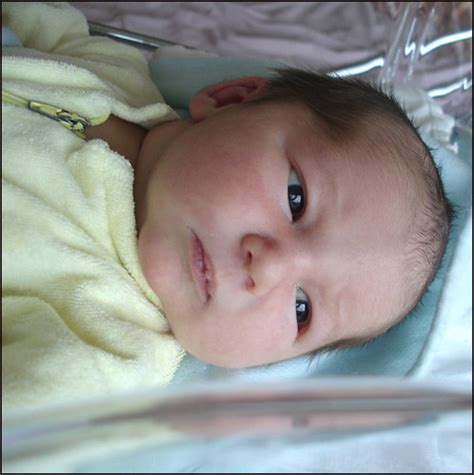 Lily Curieuse Etolane Flickr