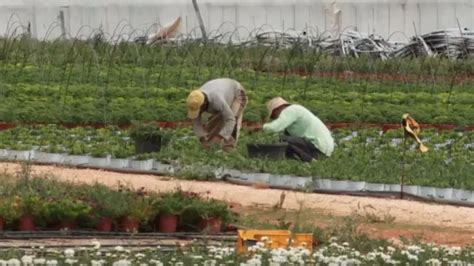 Parliament Approves New Migration Code Millet News