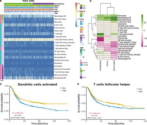 A The Heap Map Of The Relative Proportions Of Immune Cells The Left Download Scientific