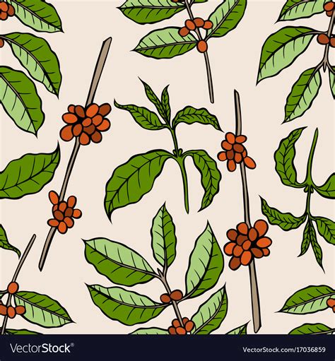 Seamless Pattern Of Cocoa Beans Royalty Free Vector Image