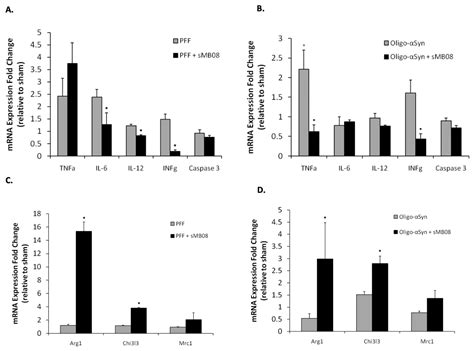 Cells Free Full Text A Single Chain Fragment Variant Binding Misfolded Alpha Synuclein