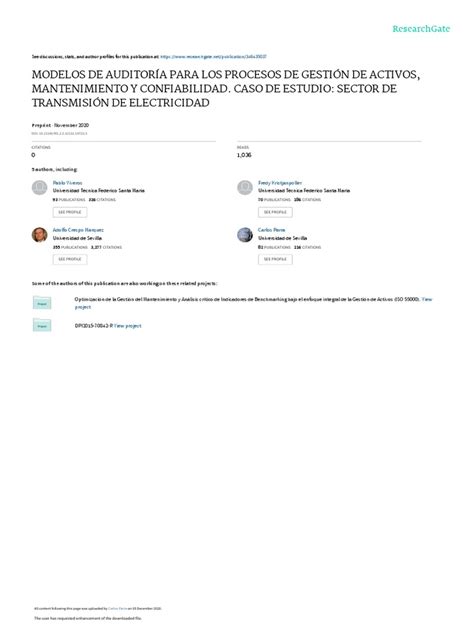 Modelos De Auditoria Para Los Procesos De Gestión De Activos